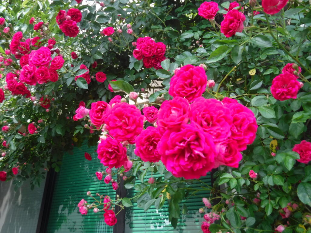 株式会社テクア技研のブログ | 社長ブログ&社内報＆オフィシャルブログ