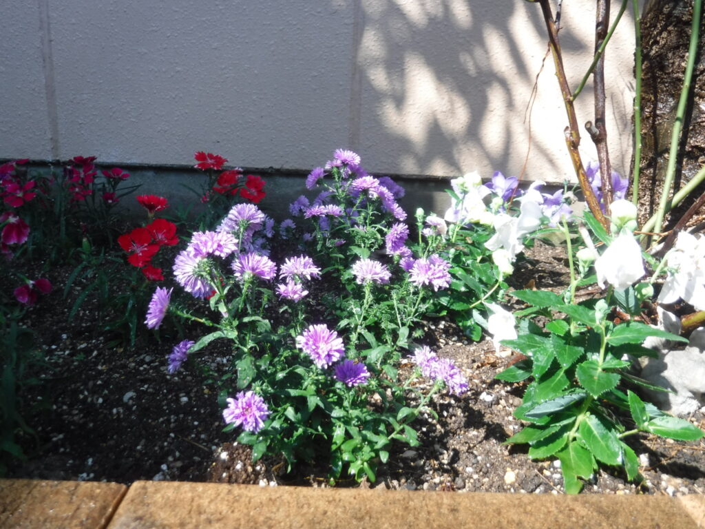 株式会社テクア技研のブログ | 社長ブログ&社内報＆オフィシャルブログ